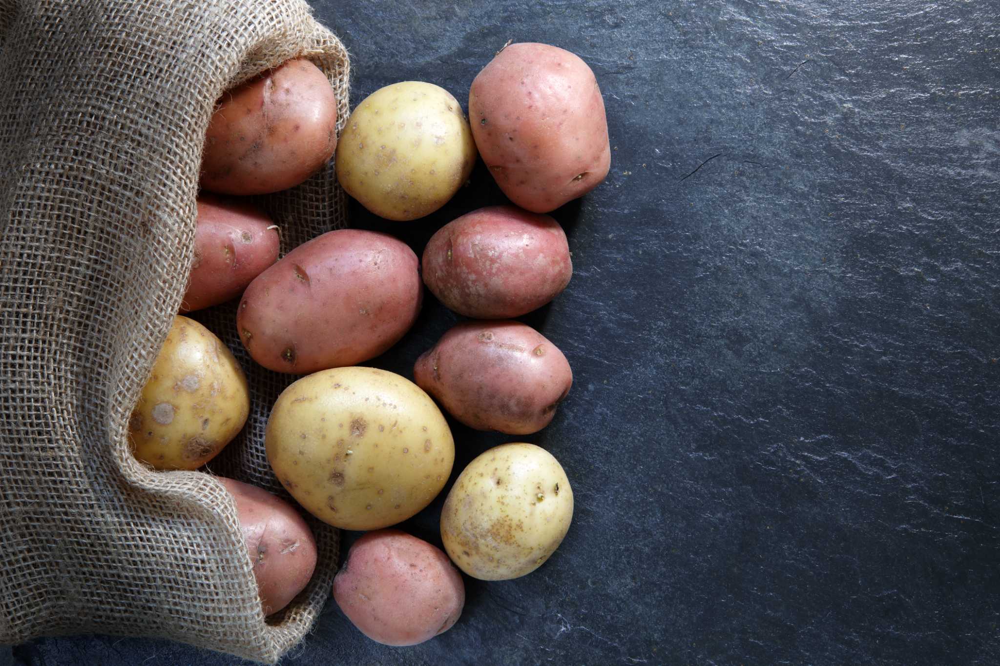 How to Plant Winter Potatoes in a 5-Gallon Bucket