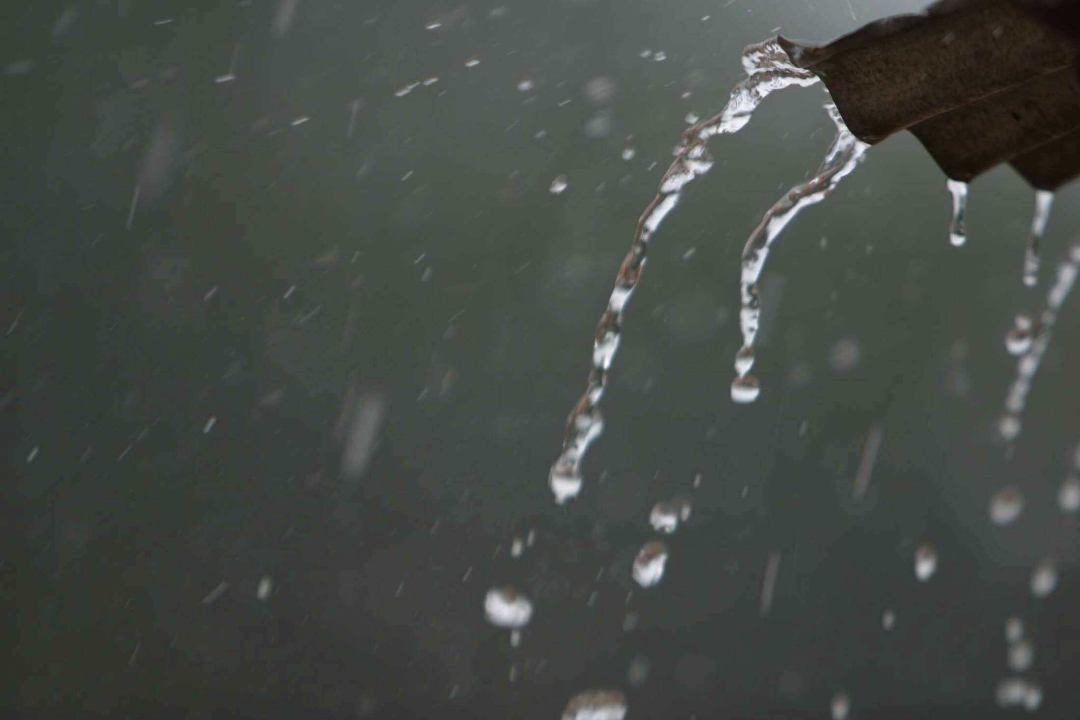 How to Use a Rain Barrel Without Gutters