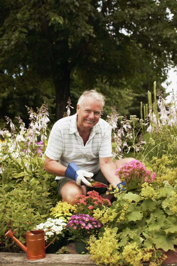 How to Use Root Starter