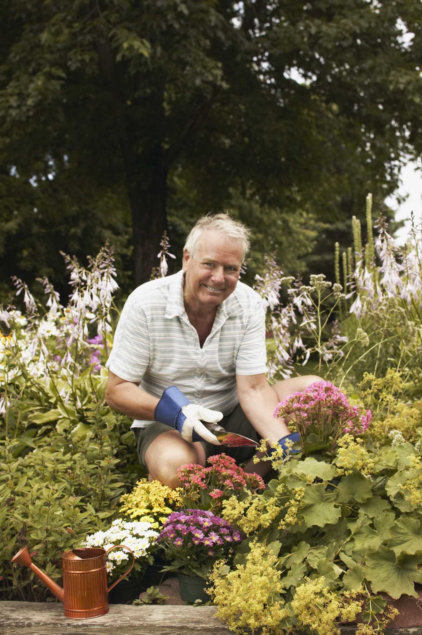 How to Use Root Starter