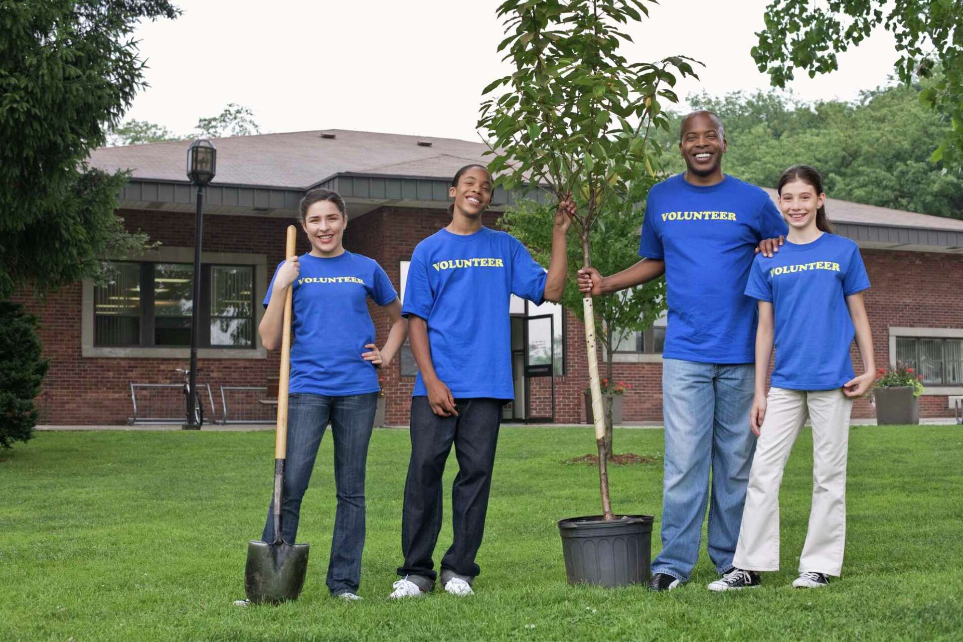 How to Use SUPERThrive on Trees