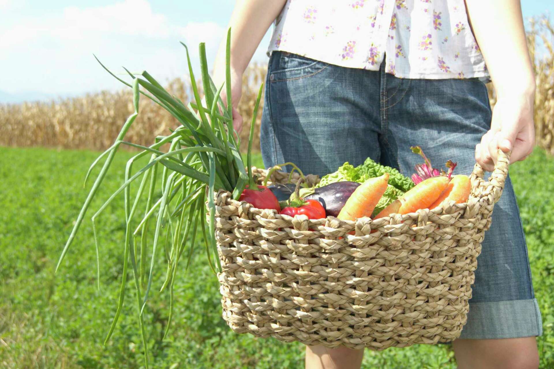 Pollinating Sprays for Vegetable Gardens