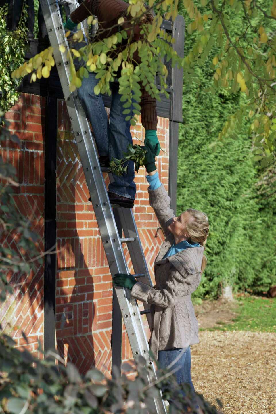 Positioning Ladders for Cutting Trees