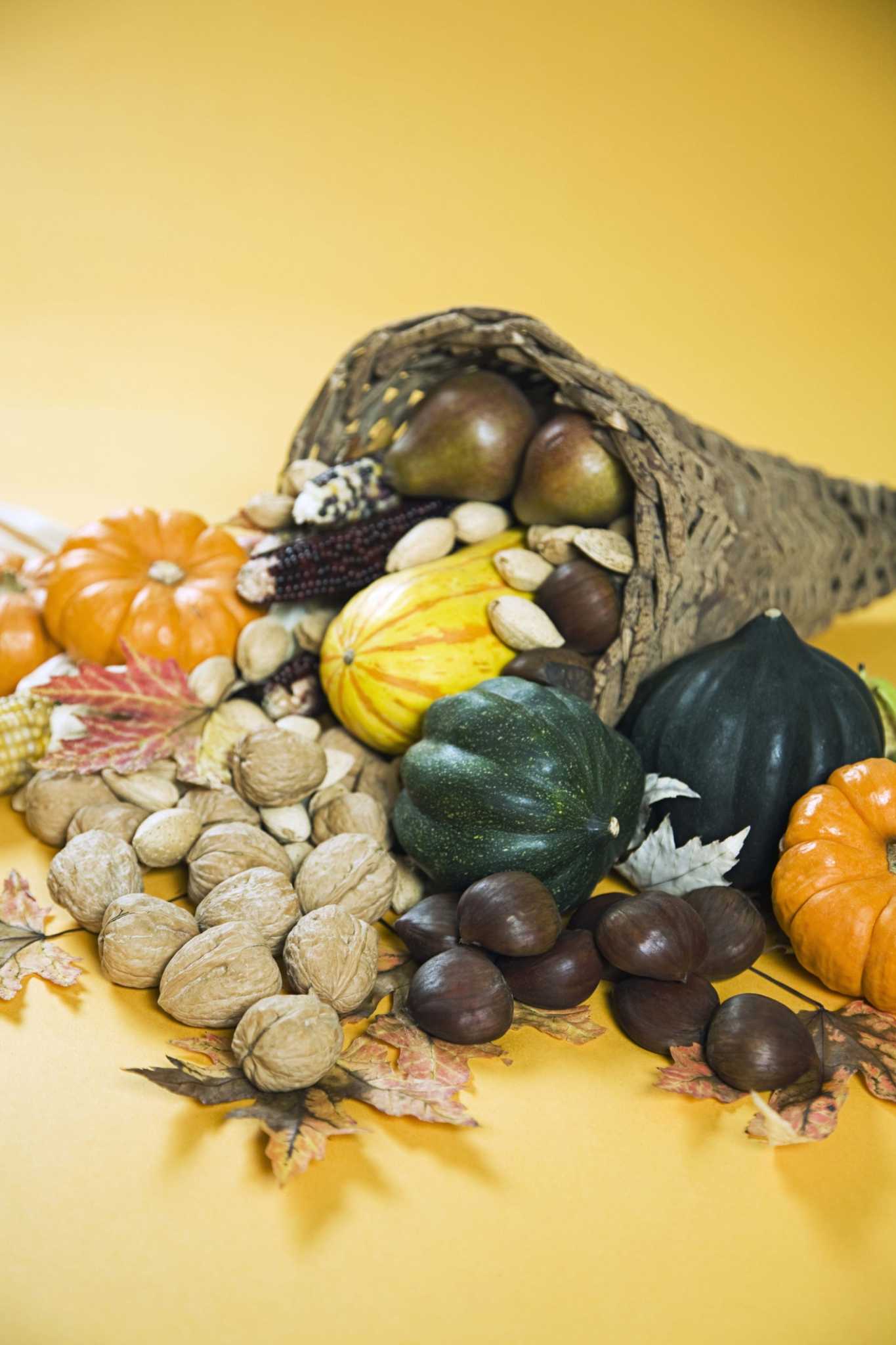 Varieties of Decorative Squash