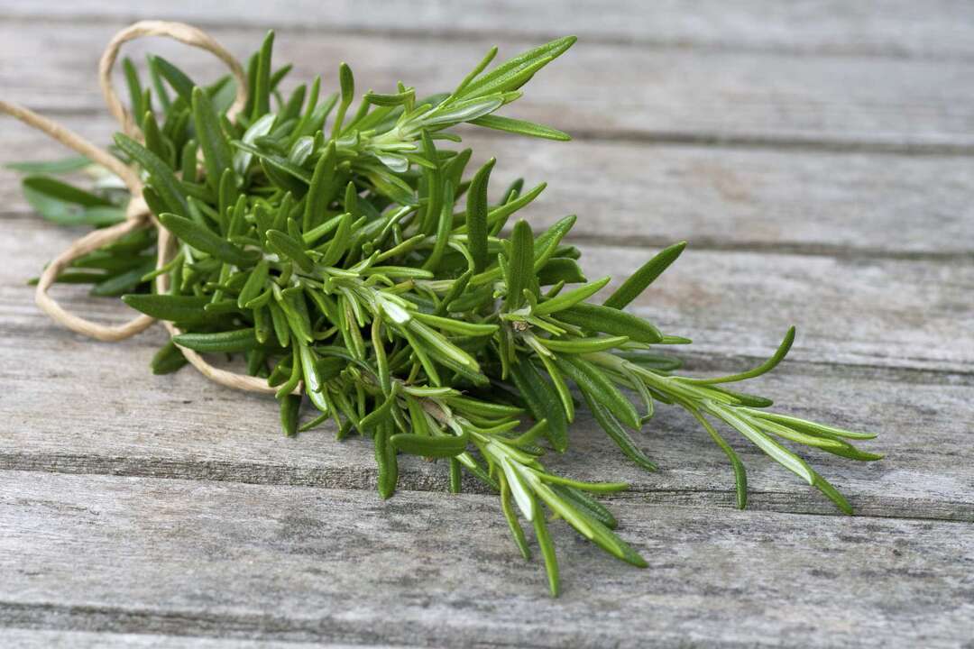 What Varieties of Rosemary Are Safe to Eat?