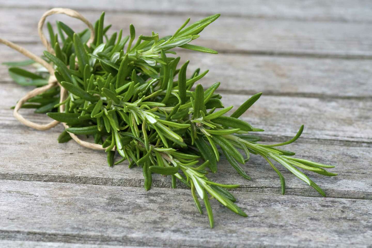 What Varieties of Rosemary Are Safe to Eat?