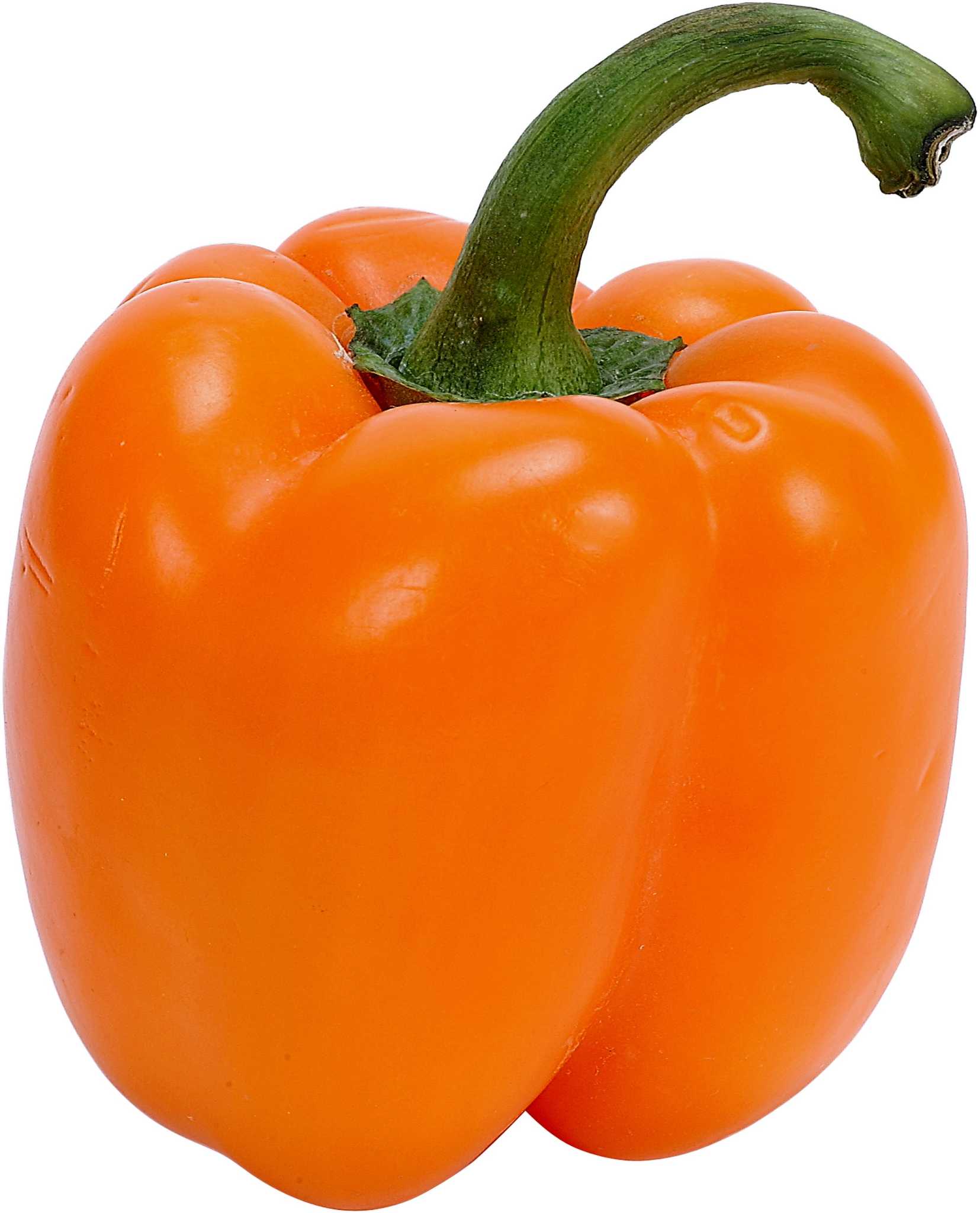 Vegetable Garden Companion for Planting Bell Peppers