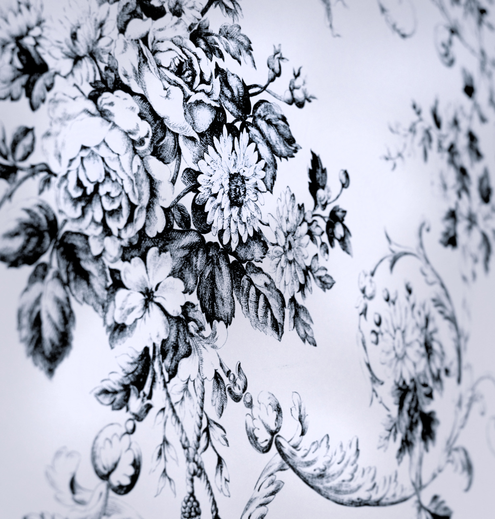 What Wall Color Looks Best With Blue Toile Fabric?