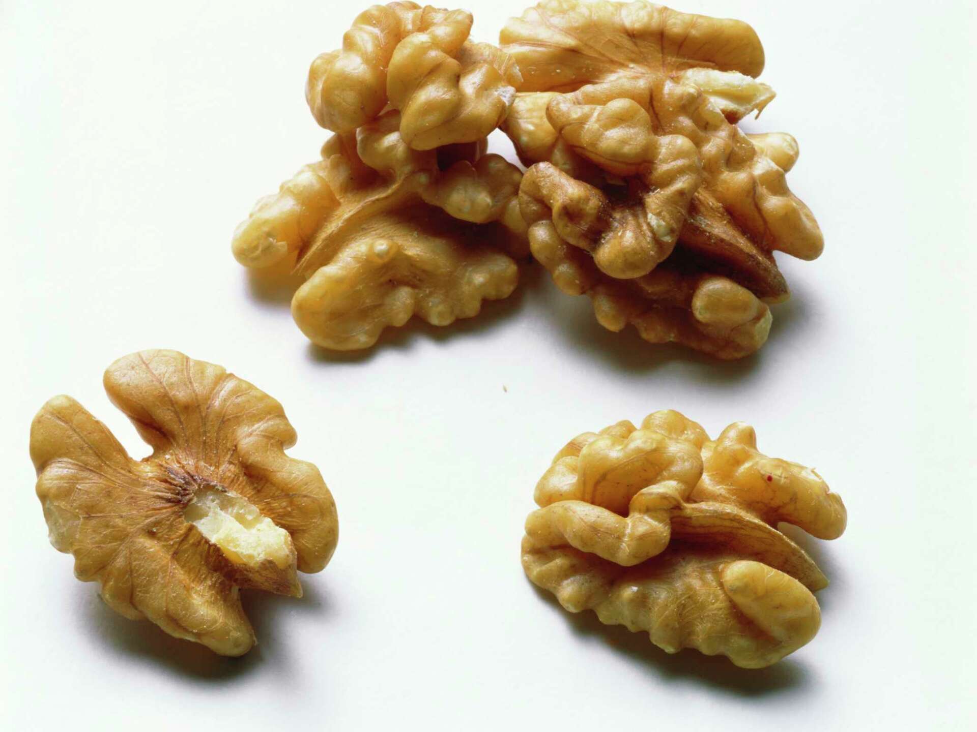 Walnut Tree Grafting & Propagation