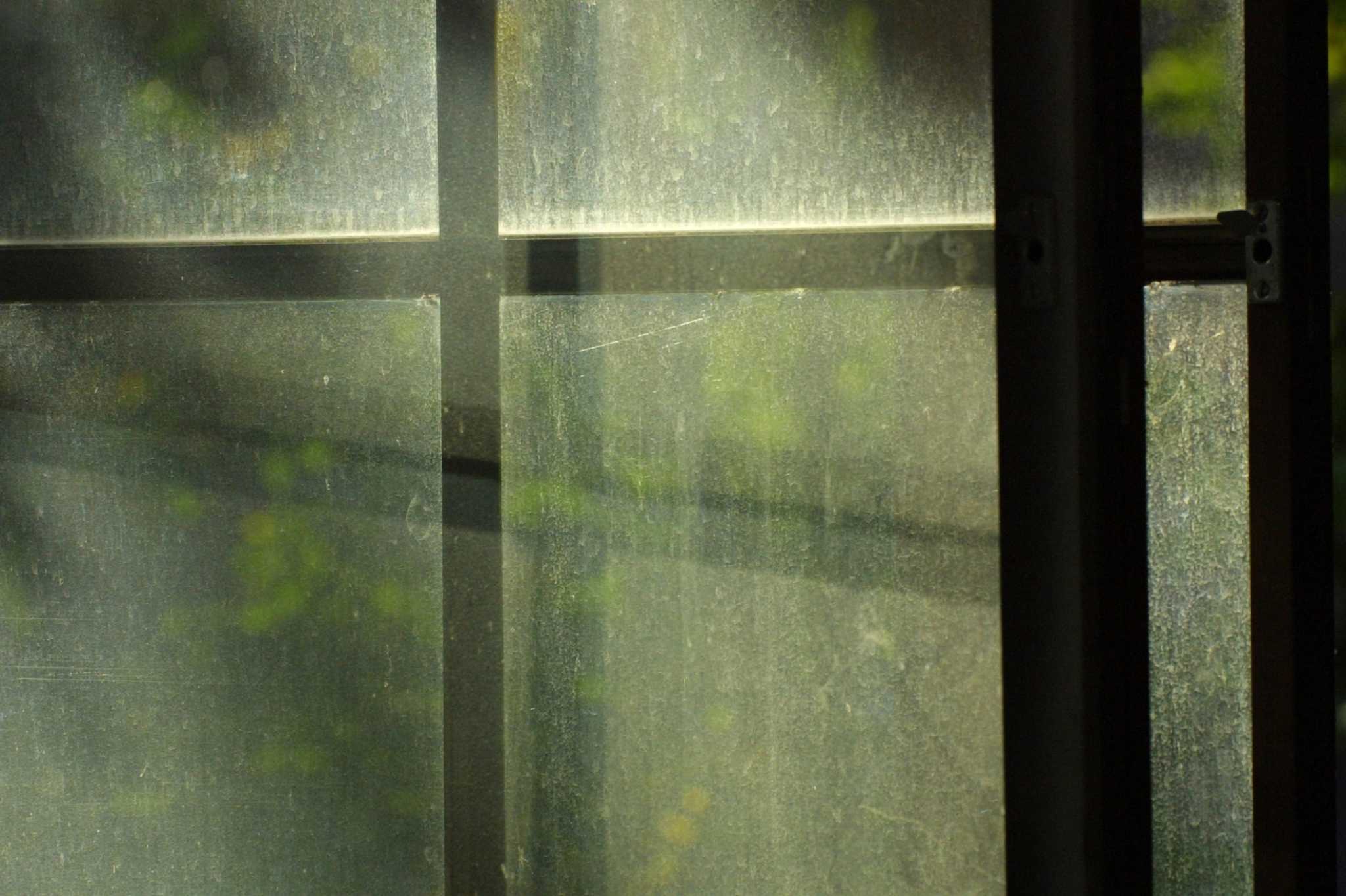 Warmest Way to Cover Cold Windows