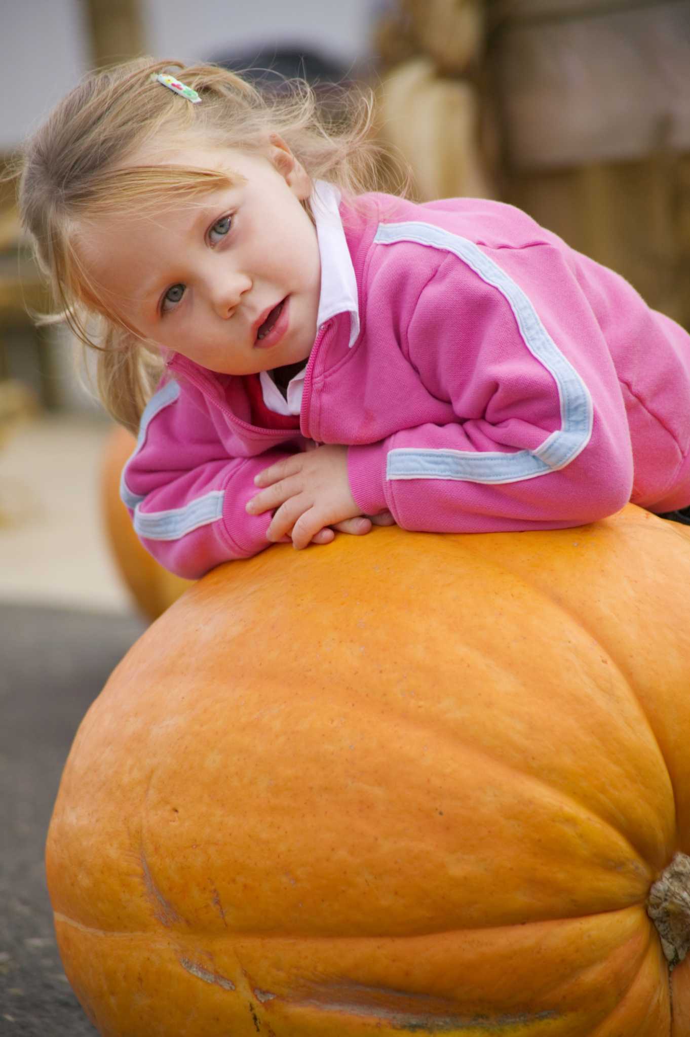 How to Water Giant Pumpkins