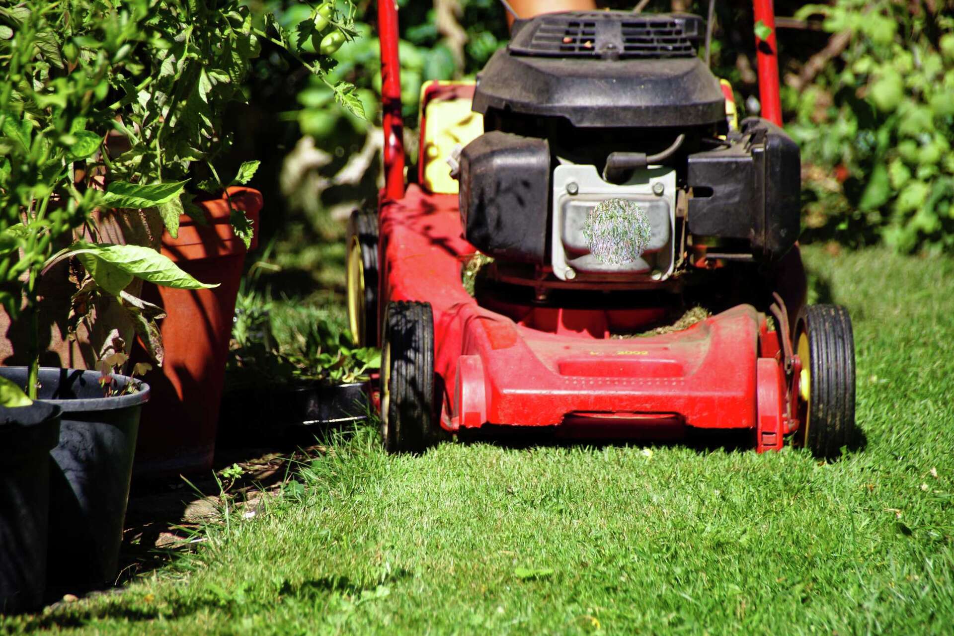 How to Get Water Out of a Lawnmower