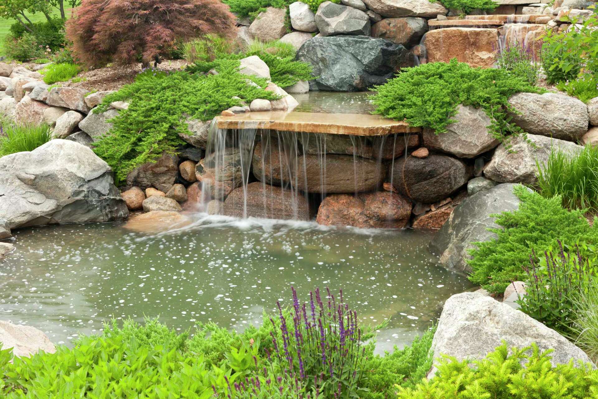 Water Worms in a Garden Pond