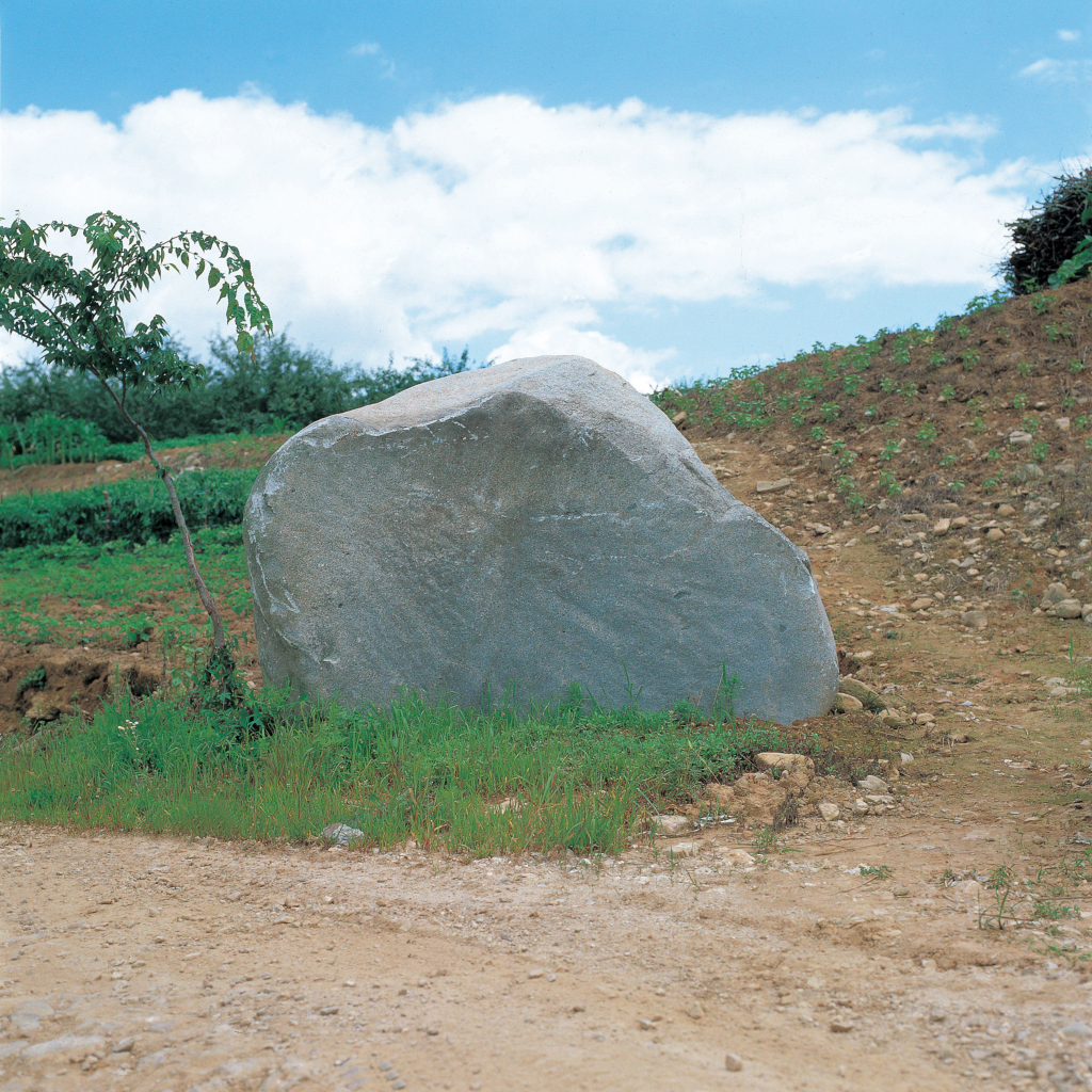 The Best Way to Dig Up Large Rocks in Yard