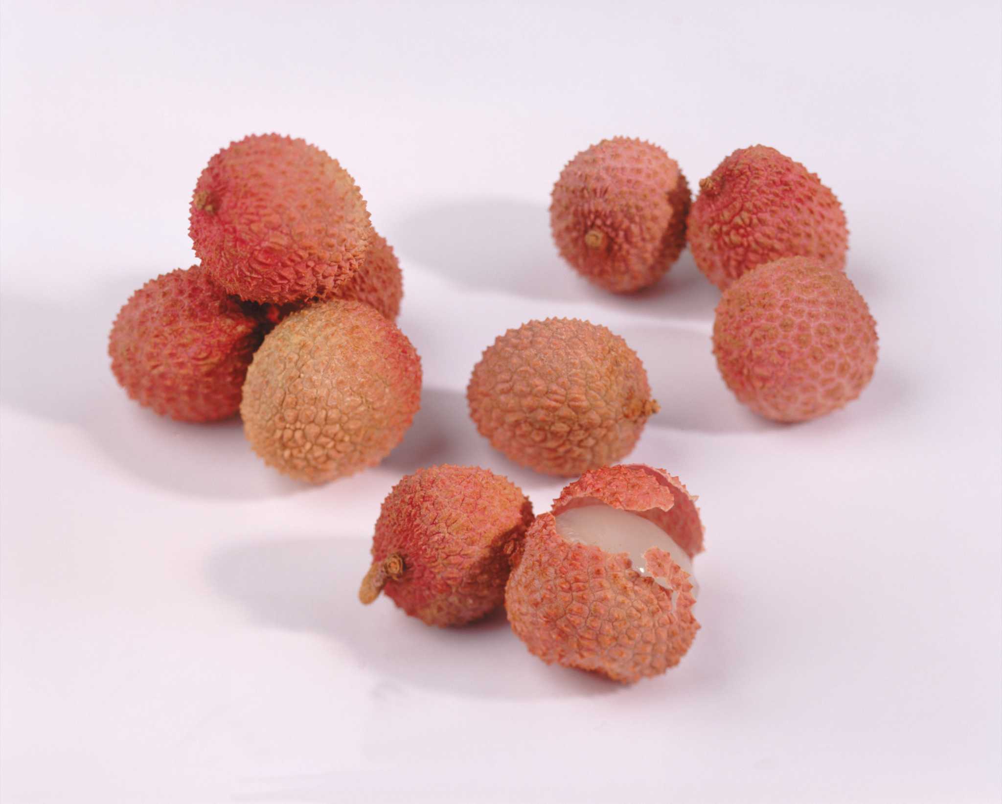 How to Propagate Lychee