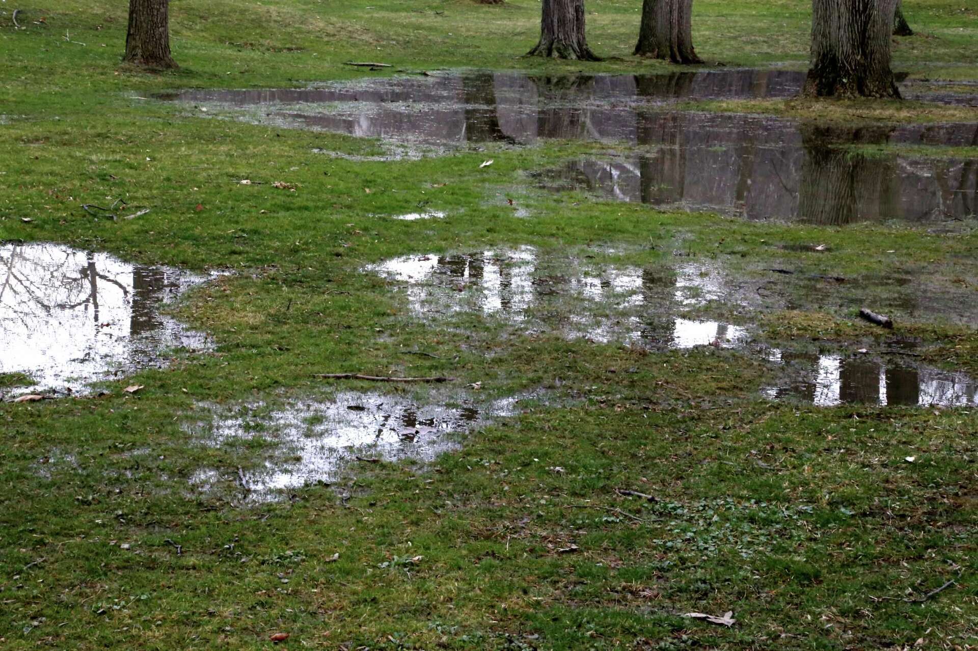 The Best Ways to Grow Grass for a Muddy Yard