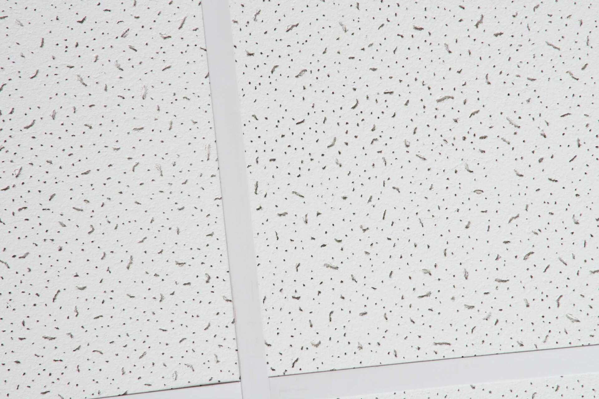The Best Way to Touch Up Ceiling Tiles on a Drop Ceiling