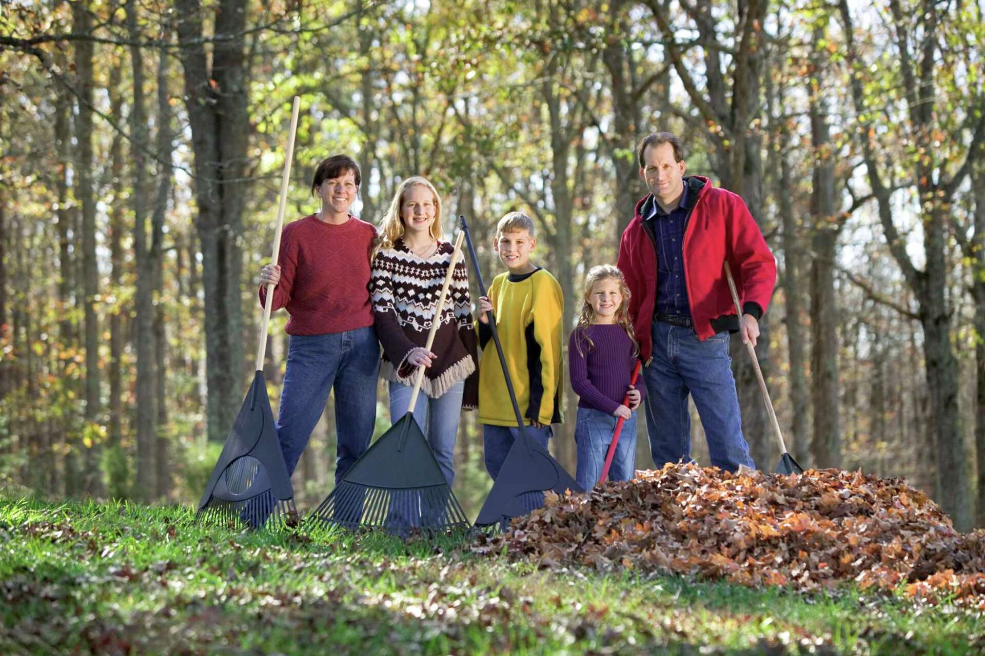 The Pros & Cons to Raking Leaves