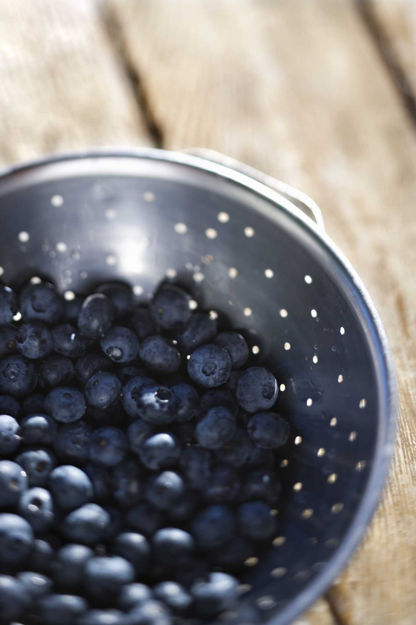 How to Protect Blueberries During the Winter