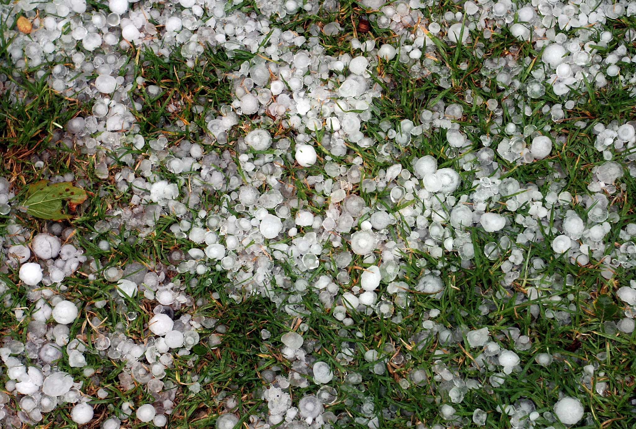 How to Protect Your Garden from Summer Hail