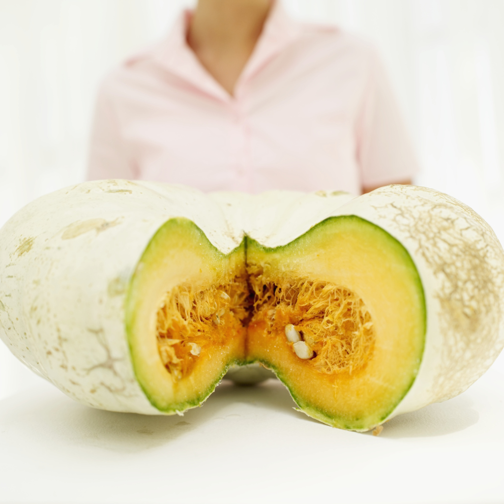 White Pumpkin Varieties