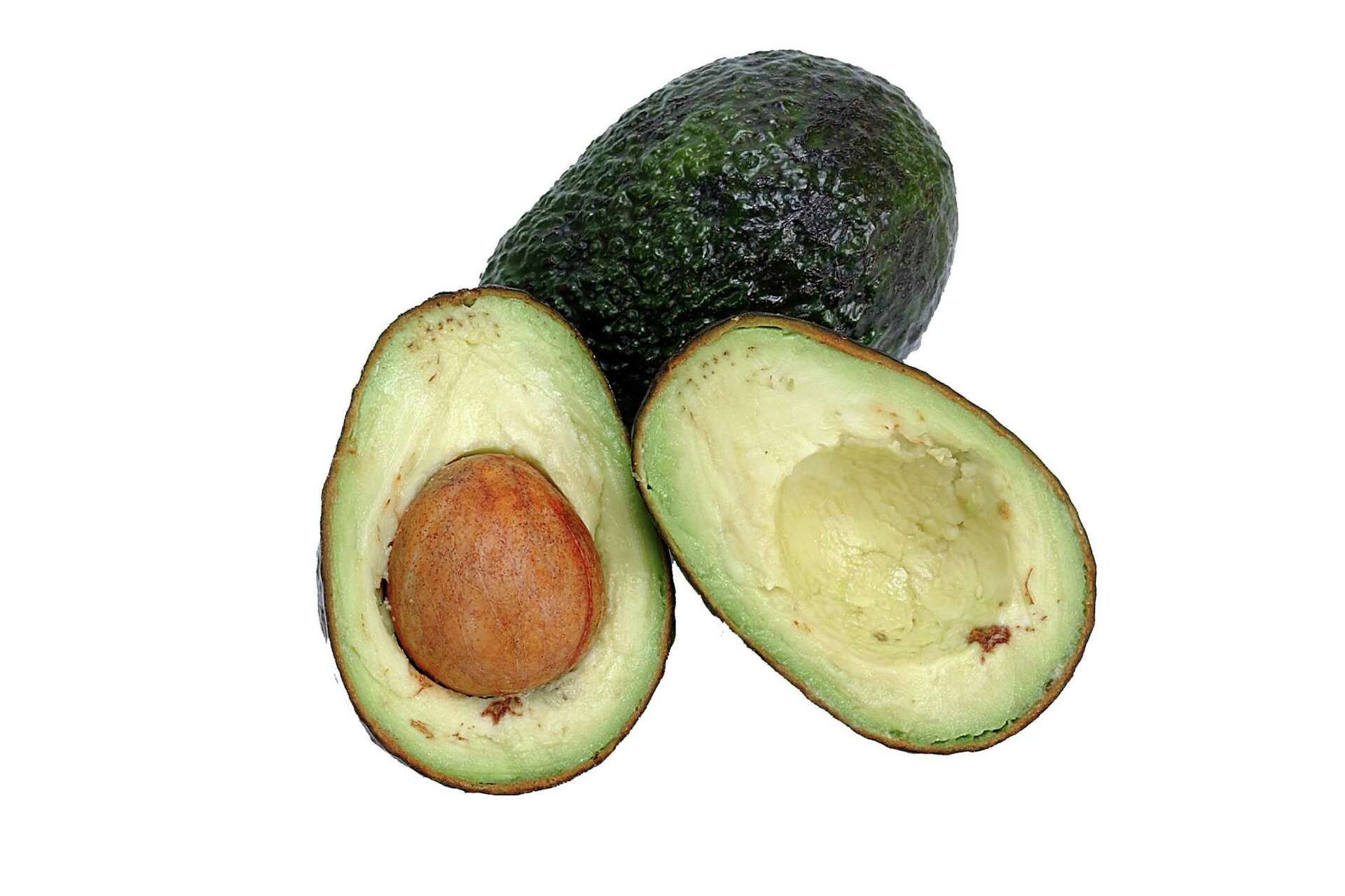 Whitewashing an Avocado Tree