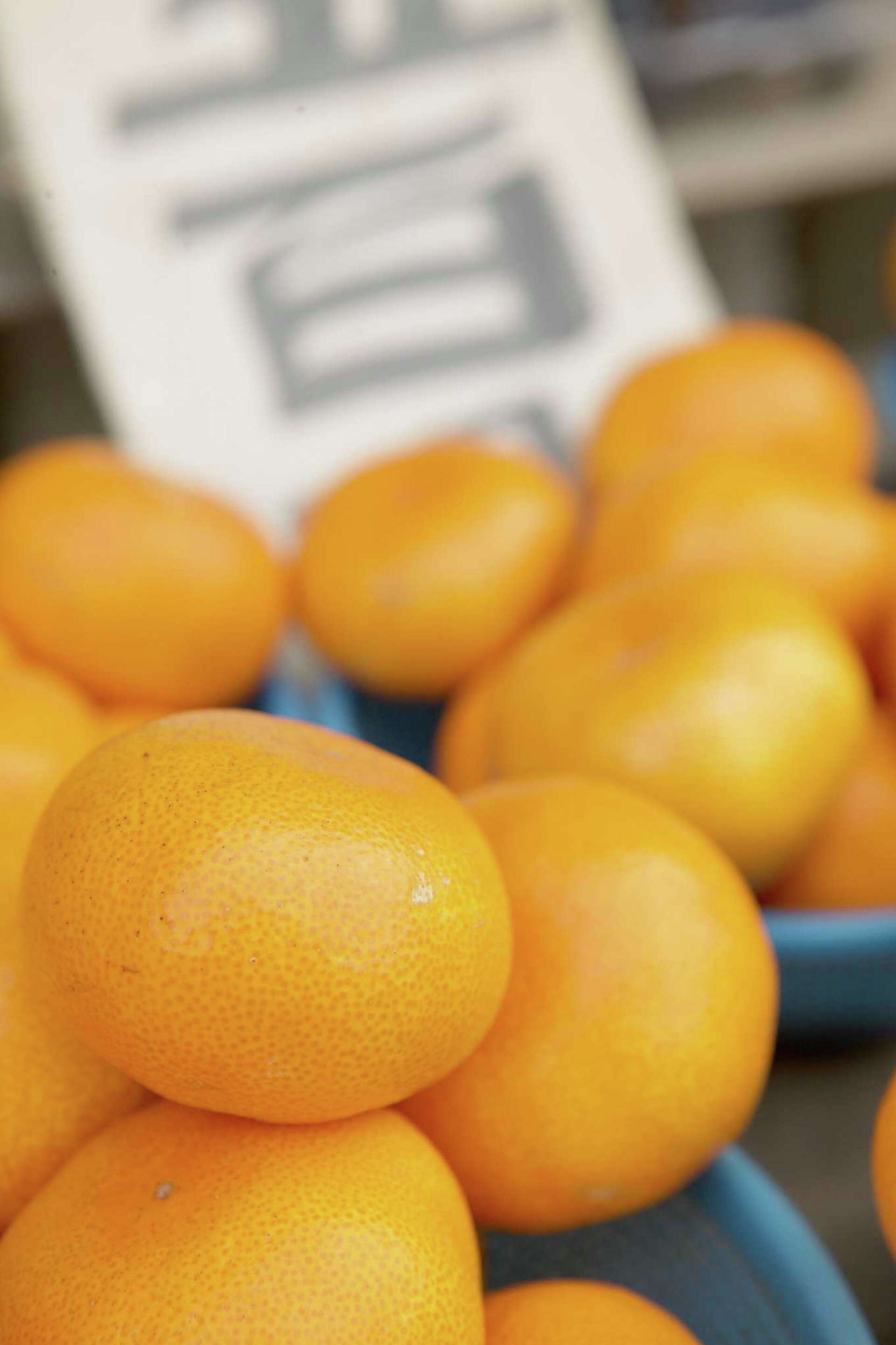 Wilted Leaves on Satsuma Trees