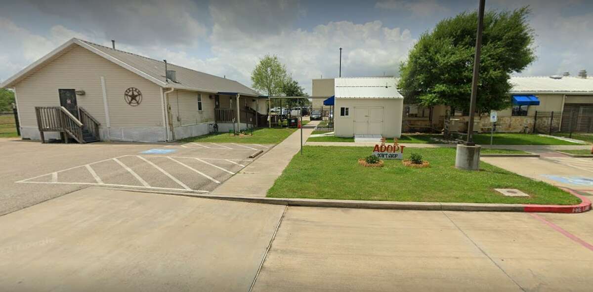 Sugar Land's animal shelter may close pet intakes due to overcrowding