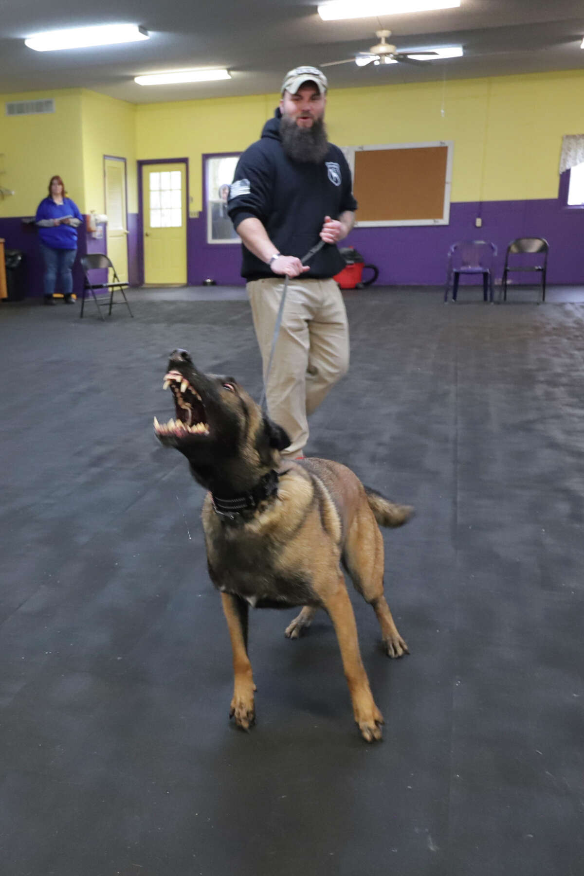 Two-year-old business helping dogs and owners do better together