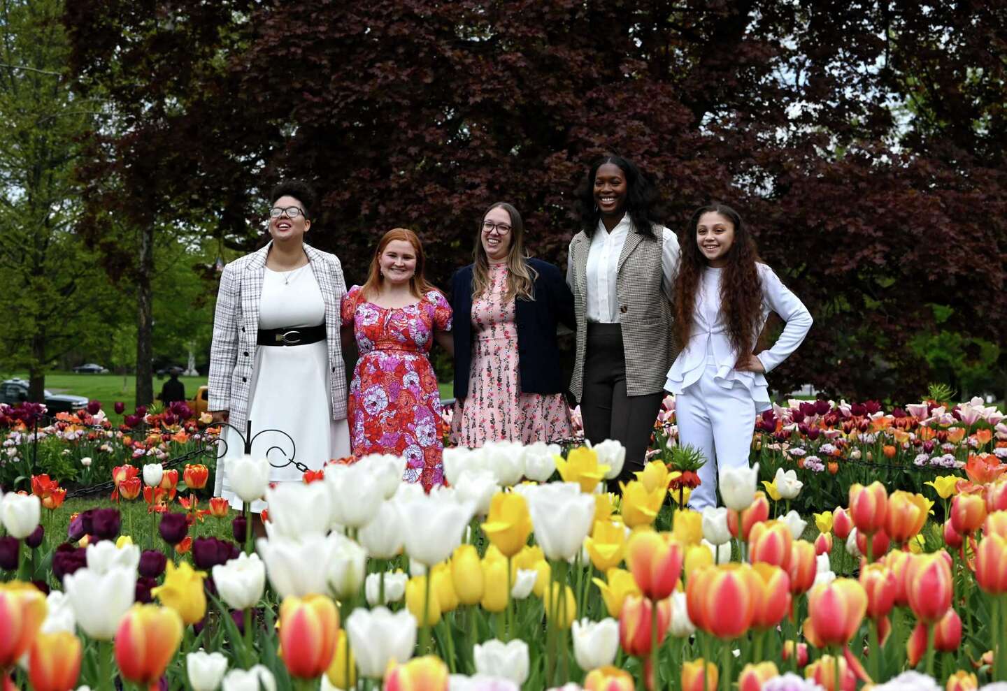 Albany Tulip Festival 2026: everything you need to know
