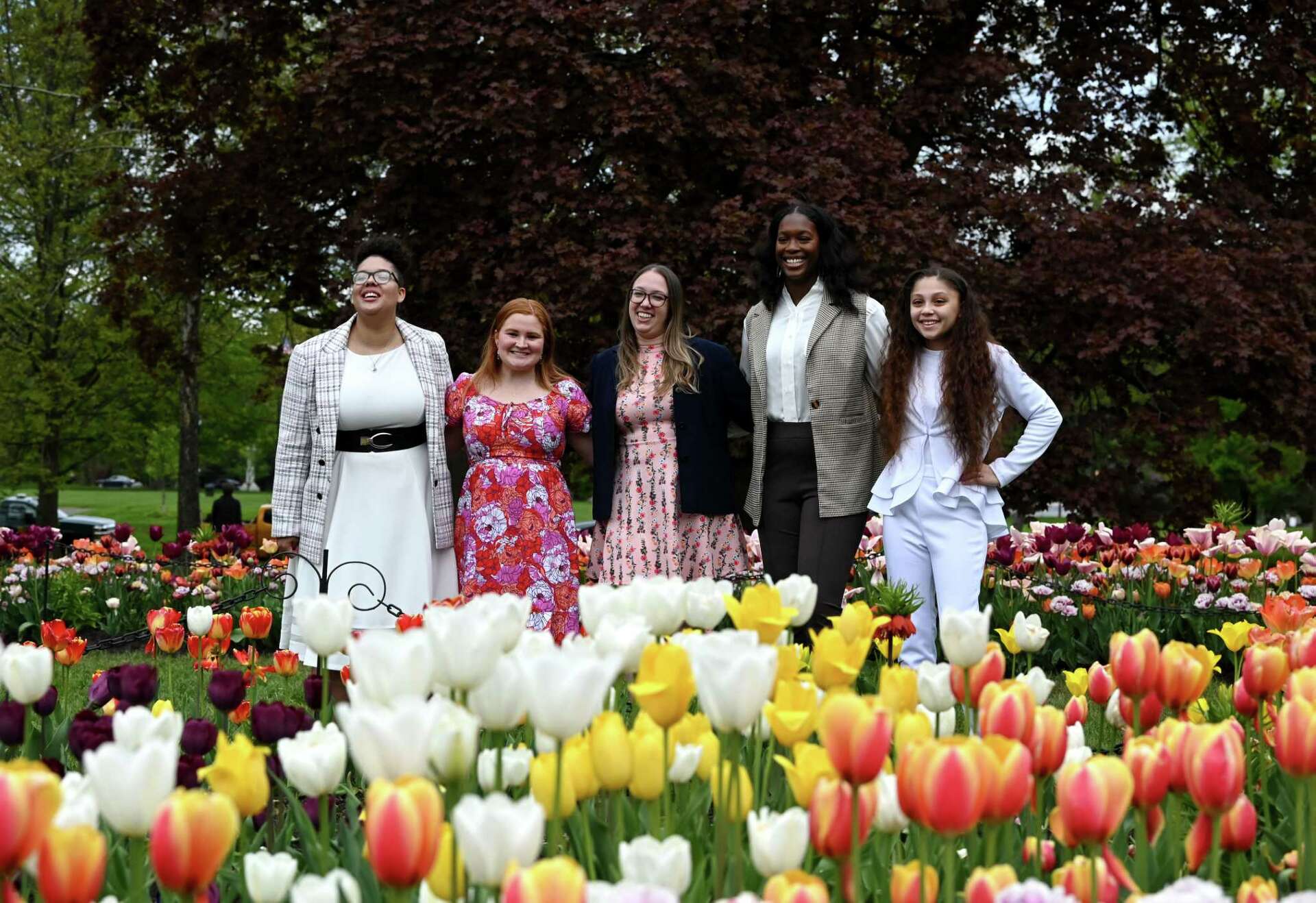 Albany Tulip Festival 2026: everything you need to know