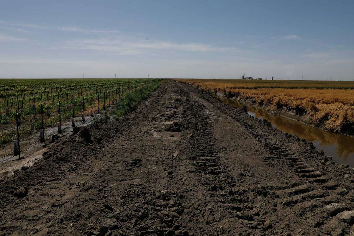 California's revived Tulare Lake floods farms, hurts food prices