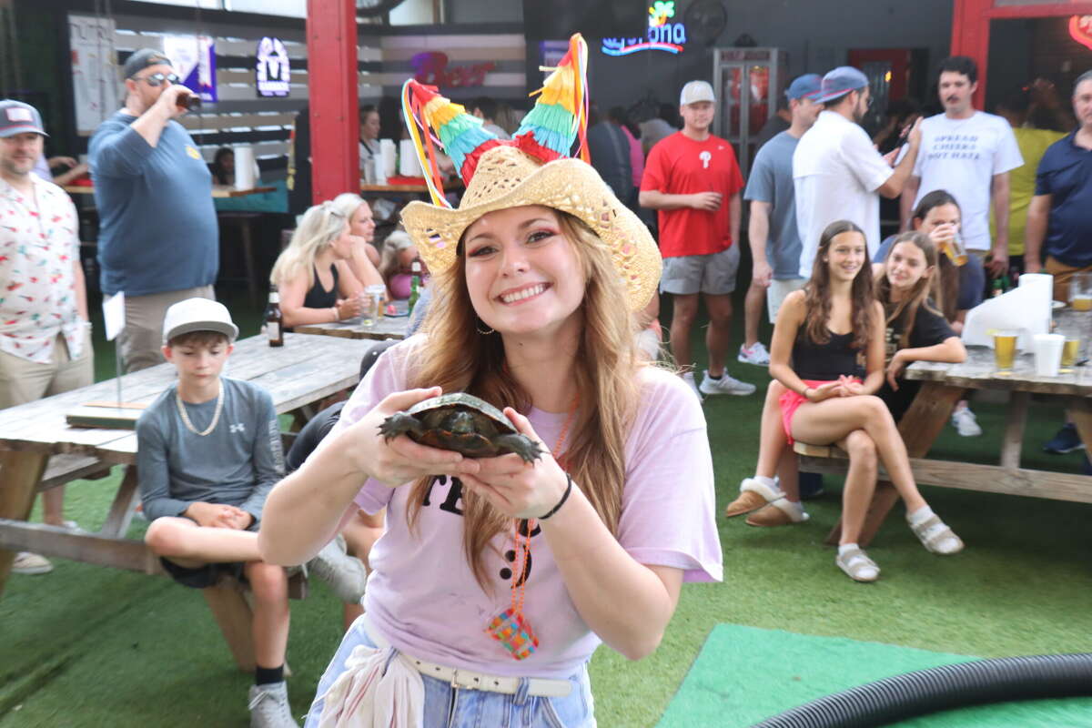Turtles eye victory at 10th annual 'Cinco De Mayo Turtle Races'