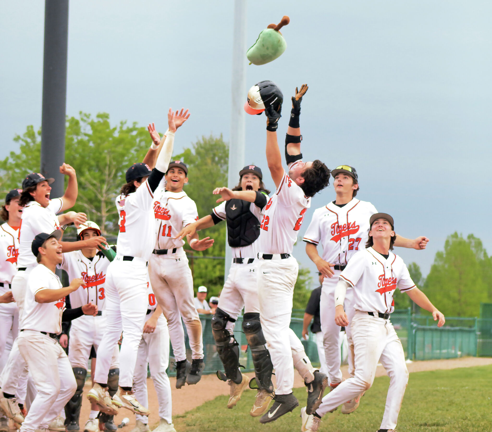Plush avocado brings life into Edwardsville baseball dugout