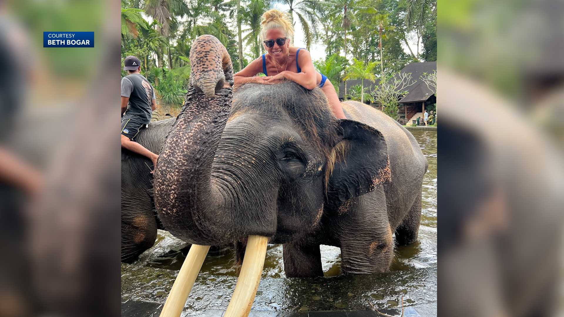 Woman describes being bitten by elephant at resort in Bali