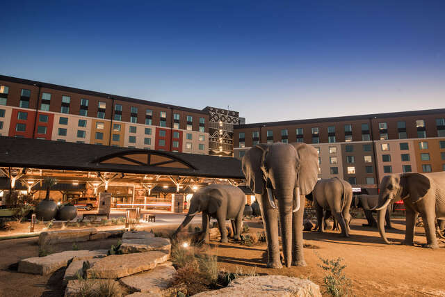 An ultimate guide to Kalahari Resorts in Texas