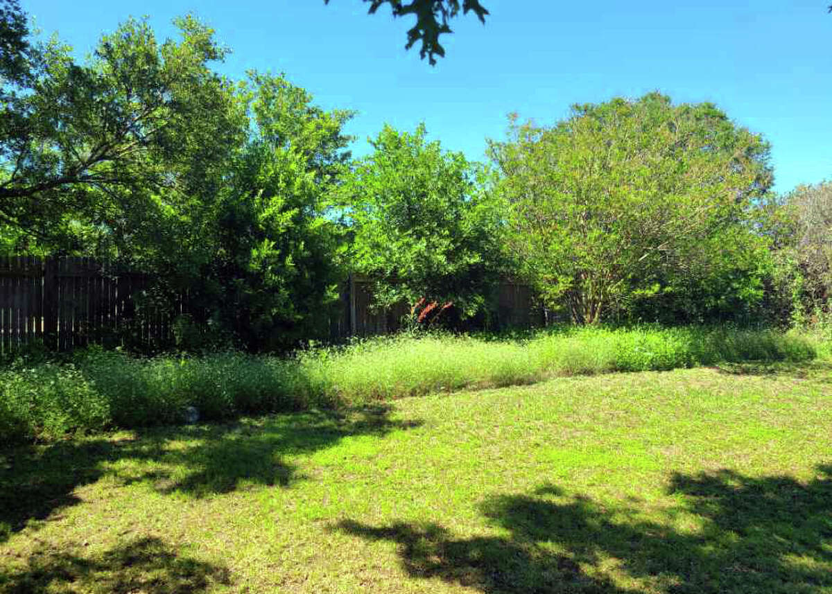 Don't mess with this Texas wildflower, mow sticky willy