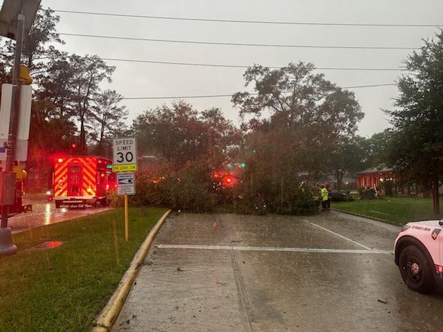 1 dead during storm as tree falls on vehicle in Harris County