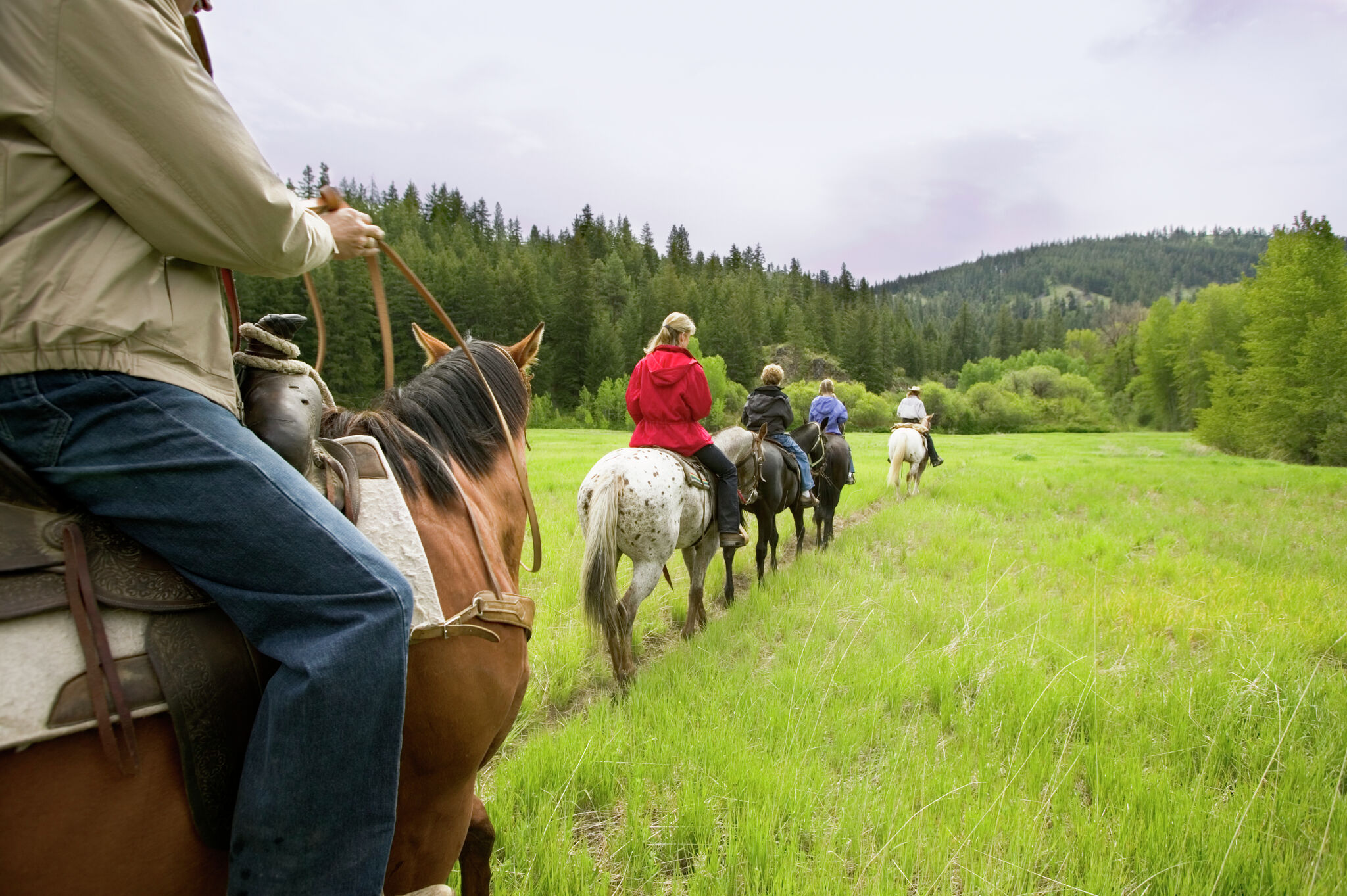 More farm tourism brings more workplace hazards