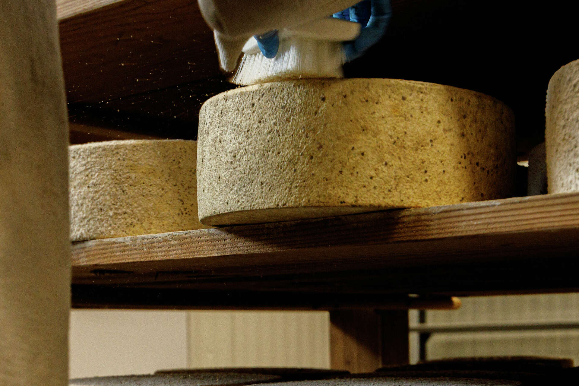 7 CT-made cheeses win first prizes in American Cheese Society Awards