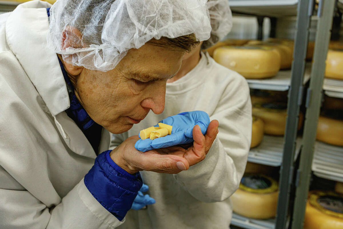 How CT farms and artisans are shaping the cheese-making scene