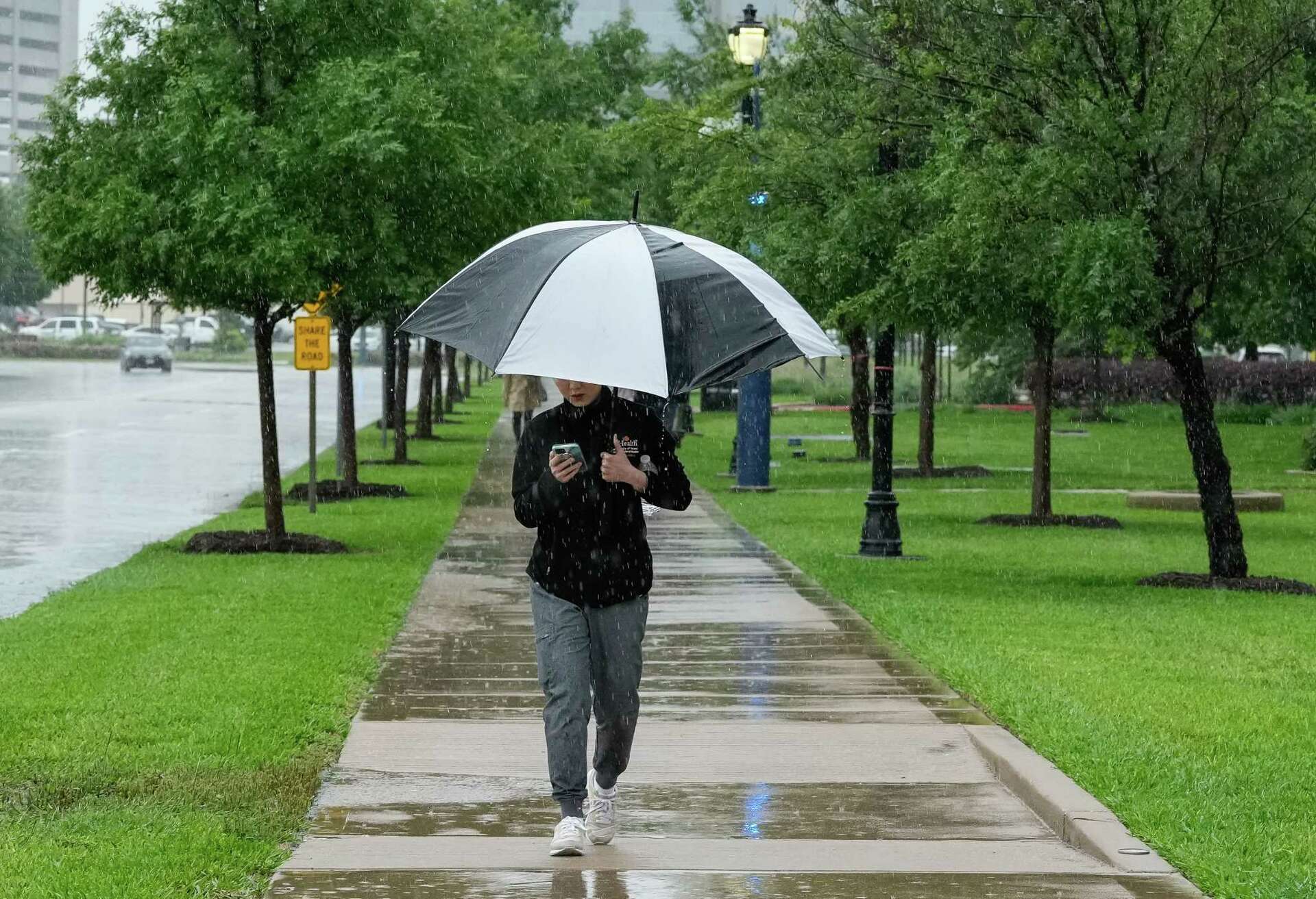 Mosquitoes in Houston: After rainy week, here's how to repel them