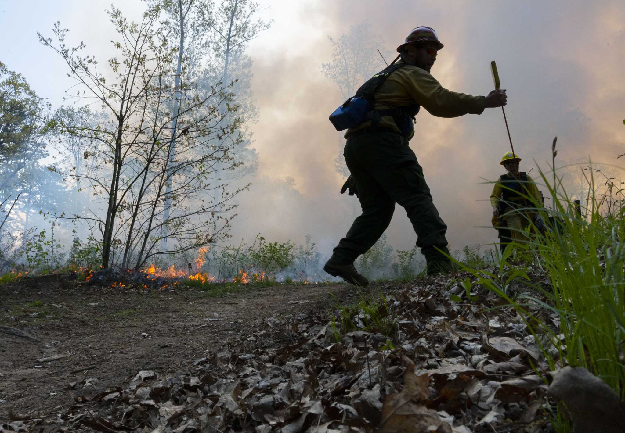 Pine Bush burn designed to aid ecosystem