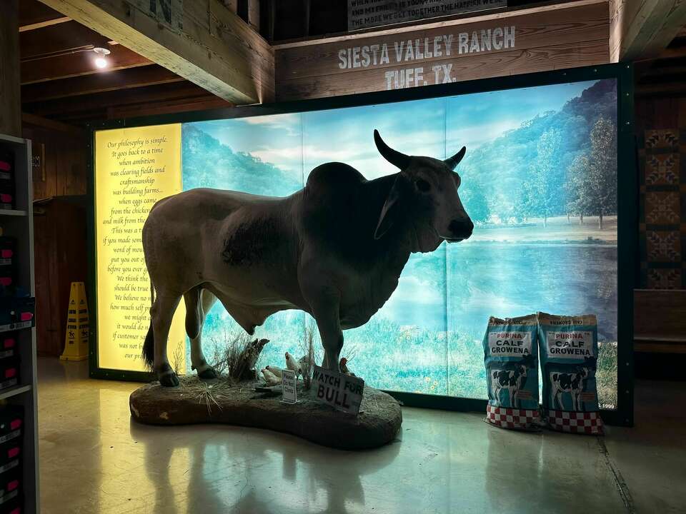 San Antonio Shoes General Store is charming, nostalgic oasis