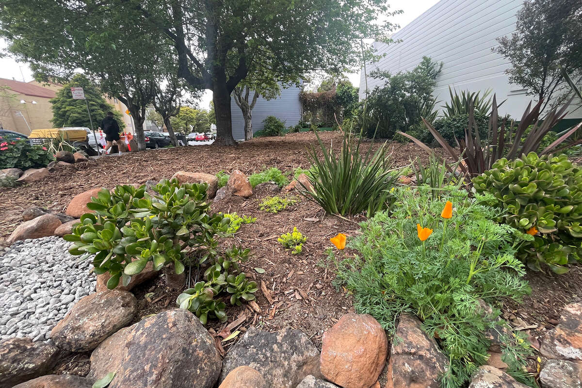 SF has 37 mini parks. These are the ones worth visiting.