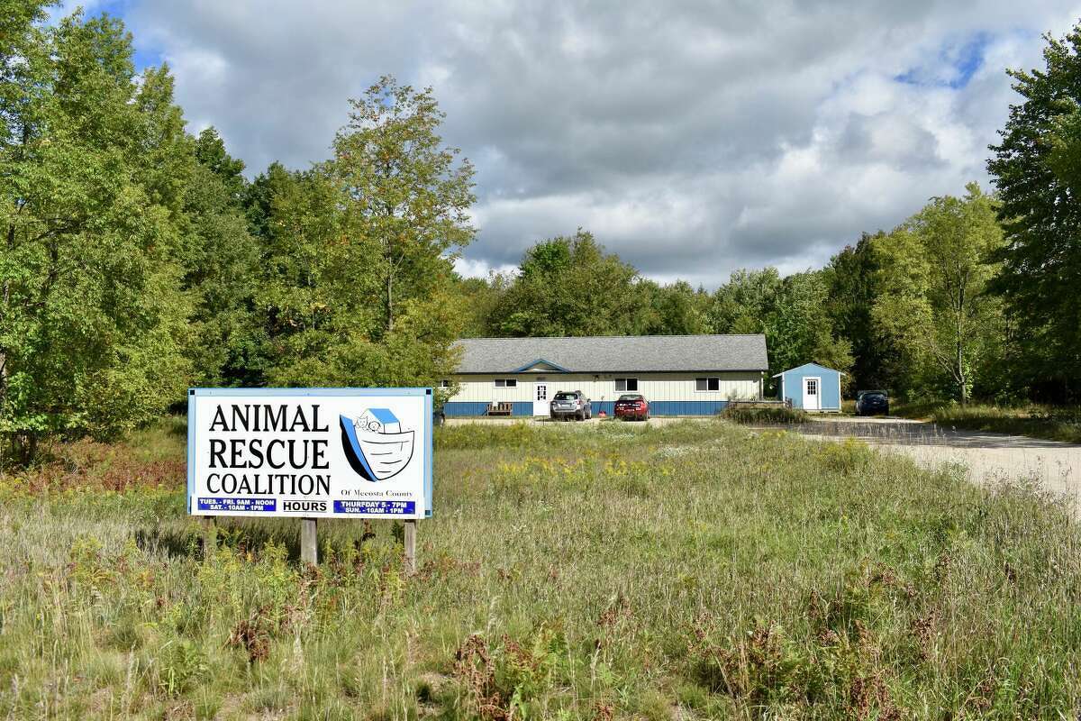 Mecosta ARC receives offer from Gotion to buy at least 10 acres