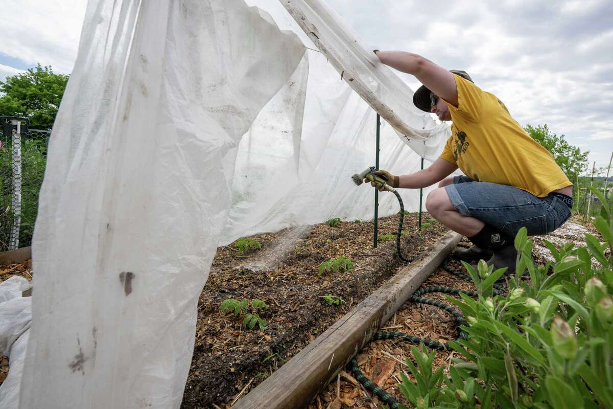 Freezing temperatures could kill crops, burst pipes overnight