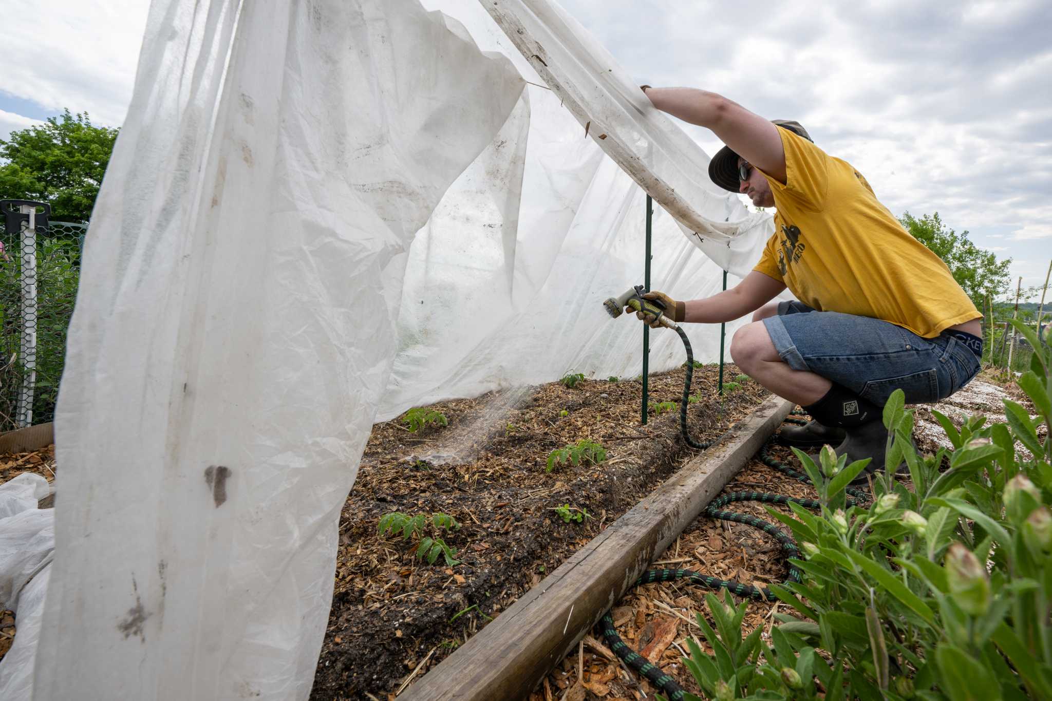 Freezing temperatures could kill crops, burst pipes overnight