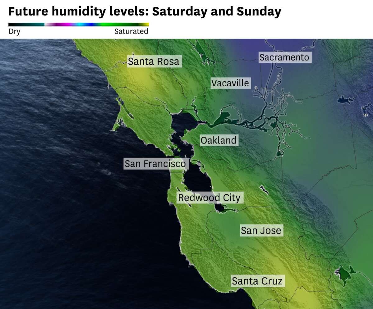 Bay Area weather: These cities will feel like Florida this weekend