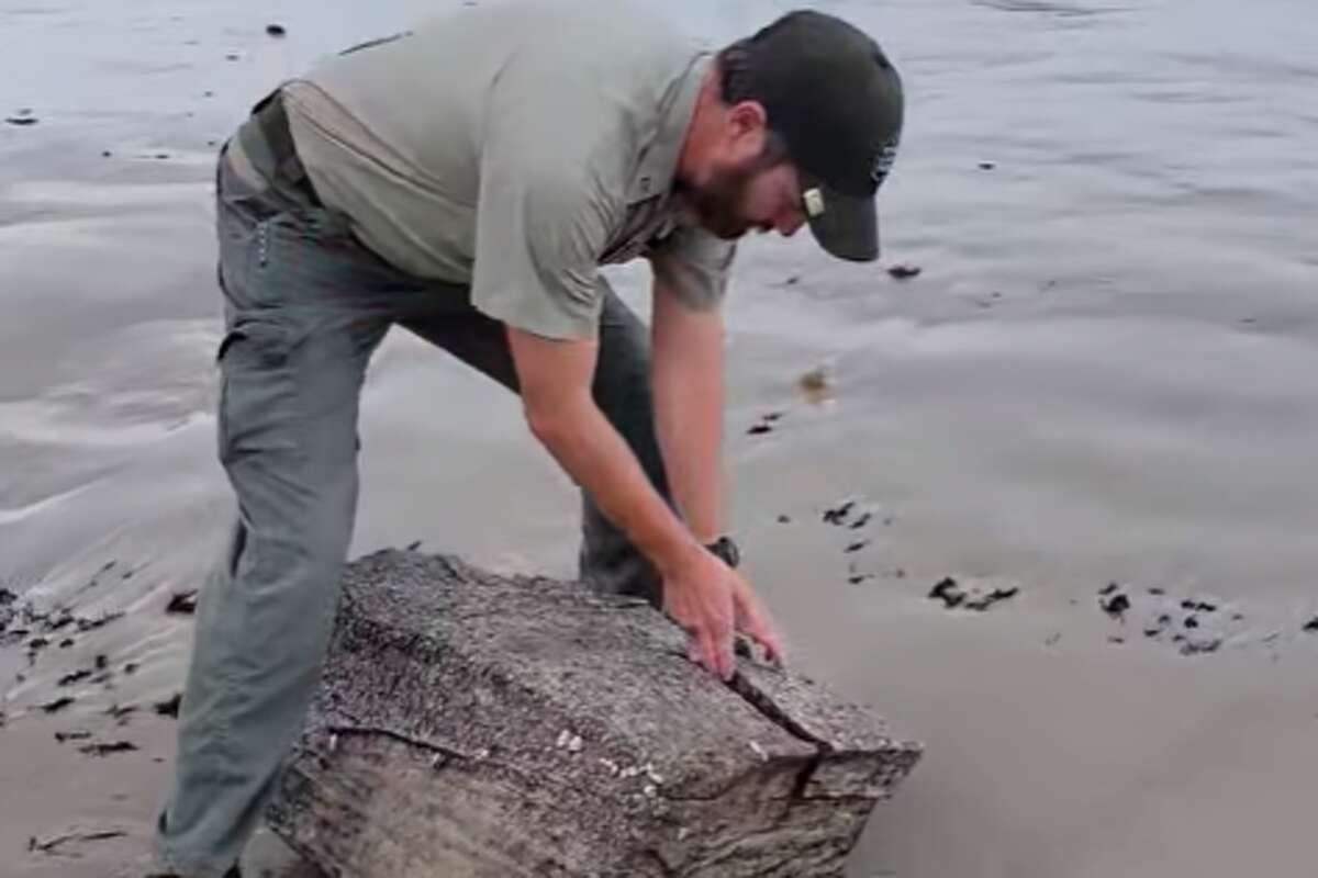 Texas beach: WWII-era ship relic washes up near Mustang Island